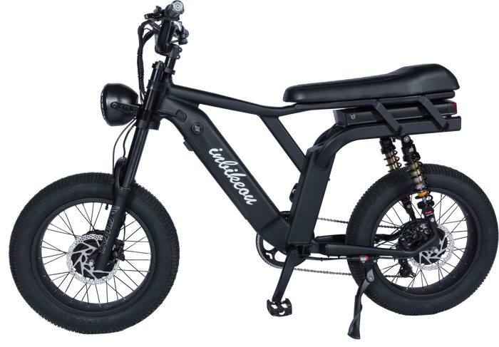 Experience the Thrill of Dual Battery Dual Motor Ebike | INBIKEOU