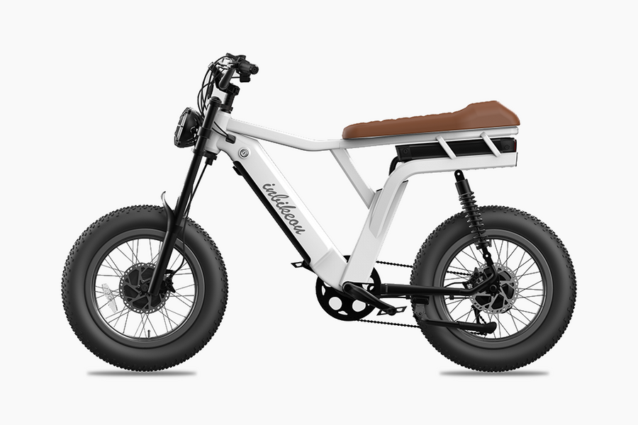 Experience the Thrill of Dual Battery Dual Motor Ebike | INBIKEOU